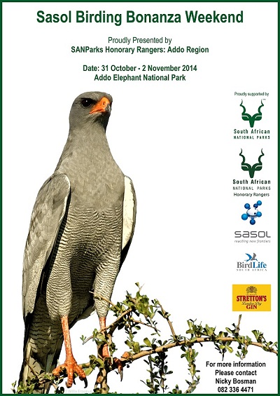 Bookings open for Sasol/Addo Birding Weekend – News – SANParks
