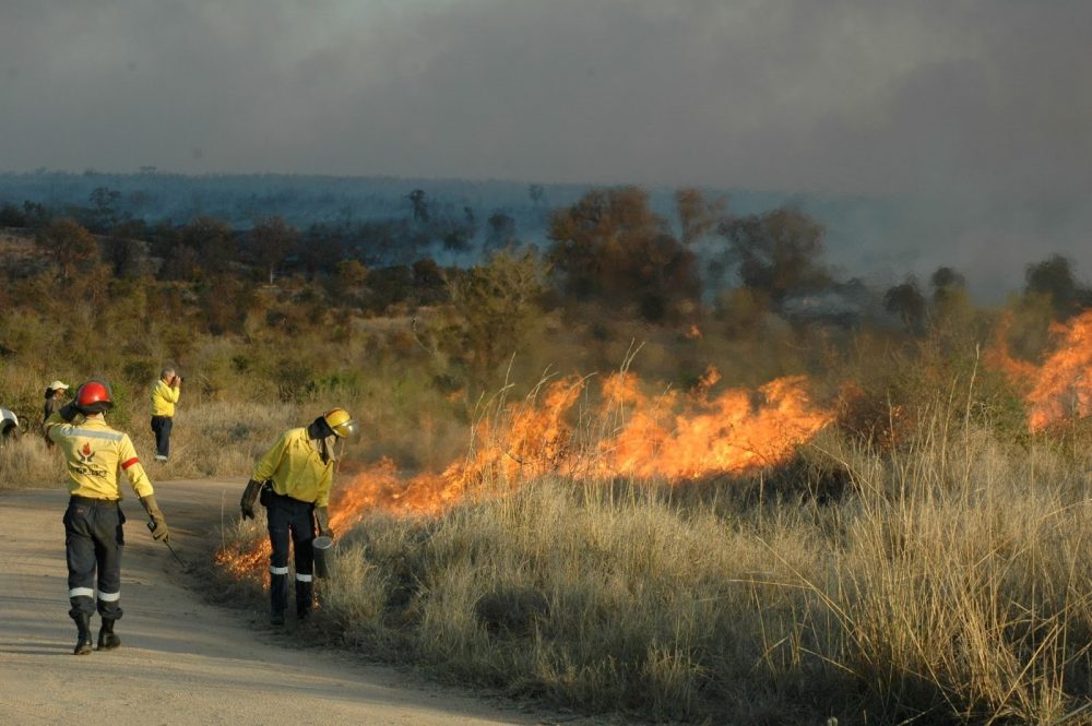 Fire as friend and foe: what the public needs to know – Our Stories ...