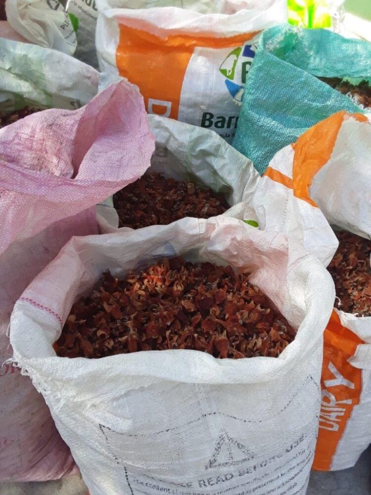 Bioprospecting & Natural Resource Use – SANParks