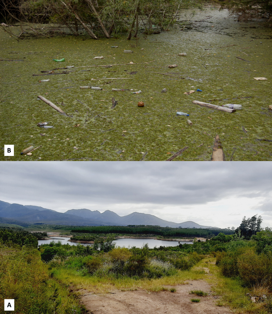 Wise management of ecological infrastructure for water security in the ...