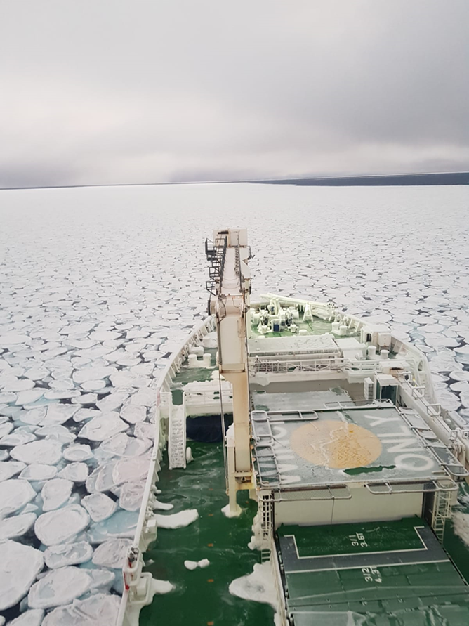 A trip of a lifetime to Antarctic Sea ice – Our Stories – Scientific ...
