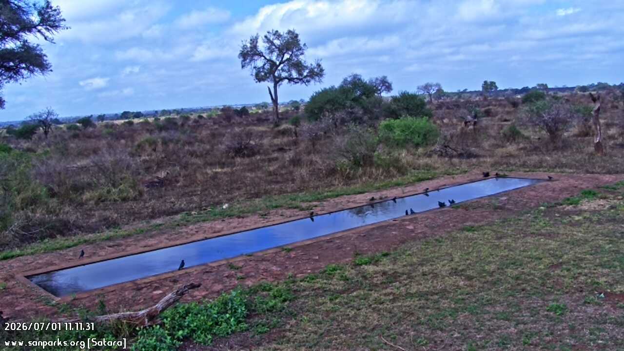 Webcams – SANParks