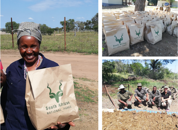 Sharing the benefits of elephant dung with traditional healers – Our ...