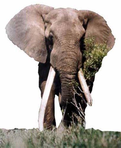 The Magnificent Seven – SANParks
