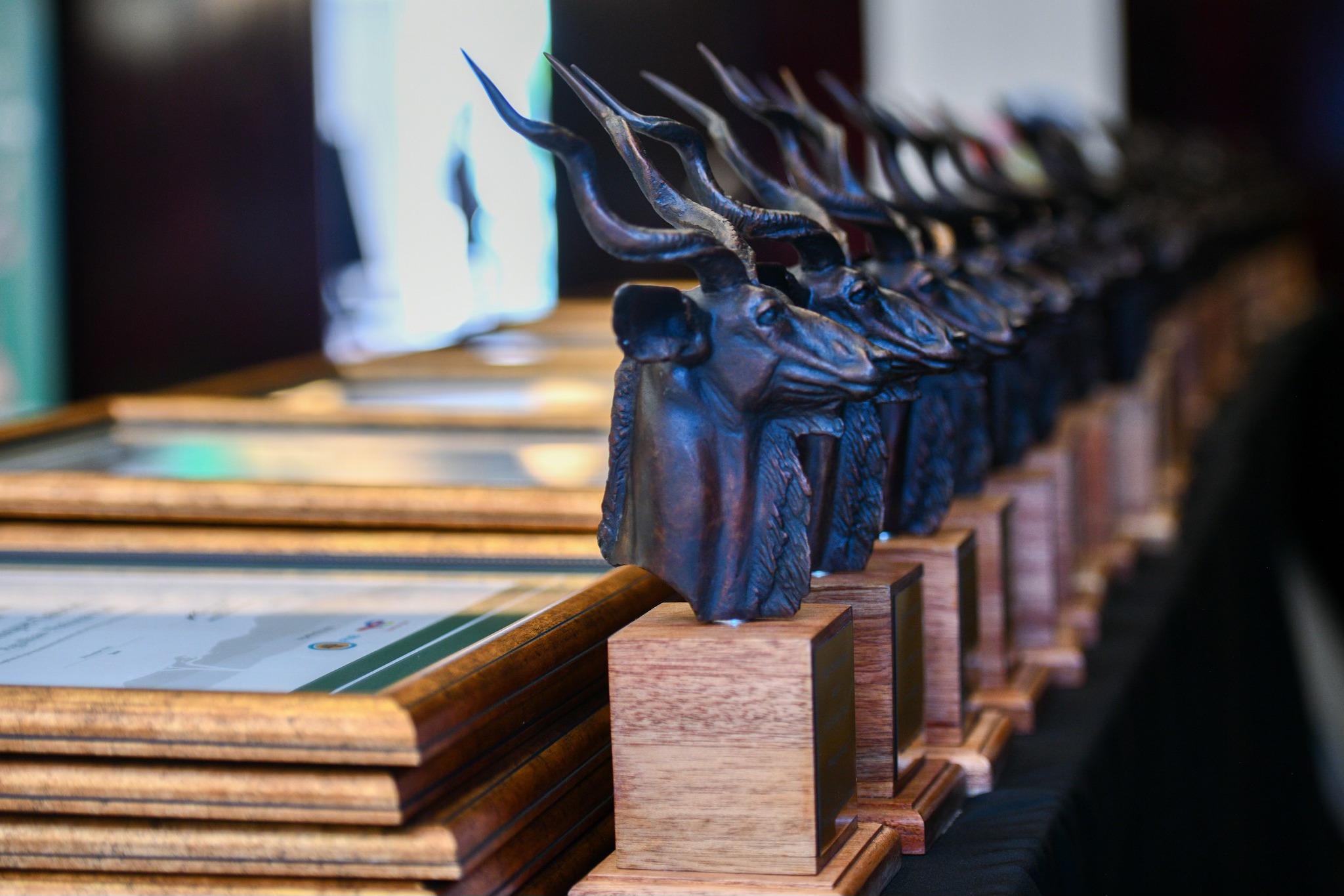Kudu Awards 2024 – Events – SANParks