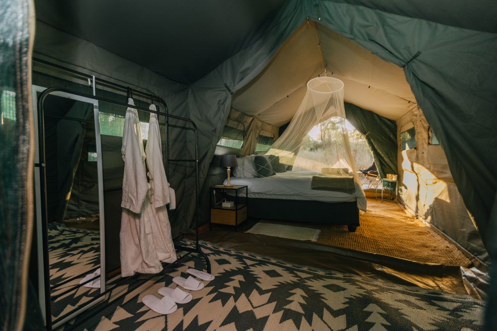 Kruger Untamed: Satara Plains Camp – Kruger National Park – SANParks