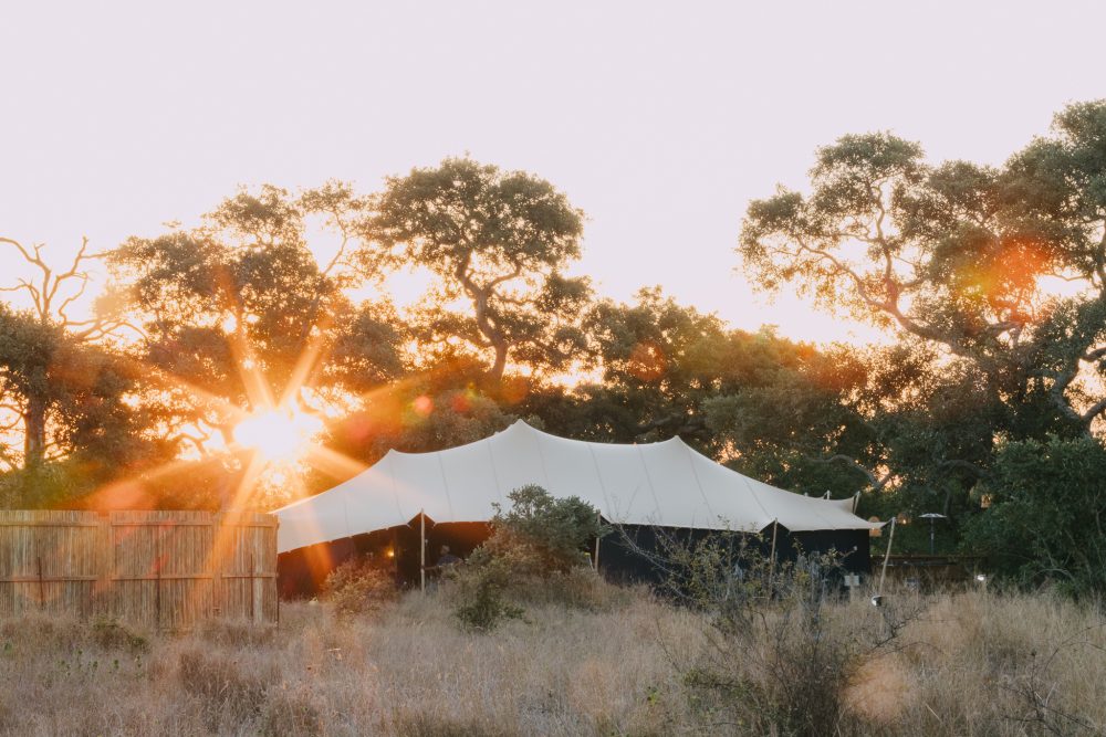 Kruger Untamed: Satara Plains Camp – Kruger National Park – SANParks