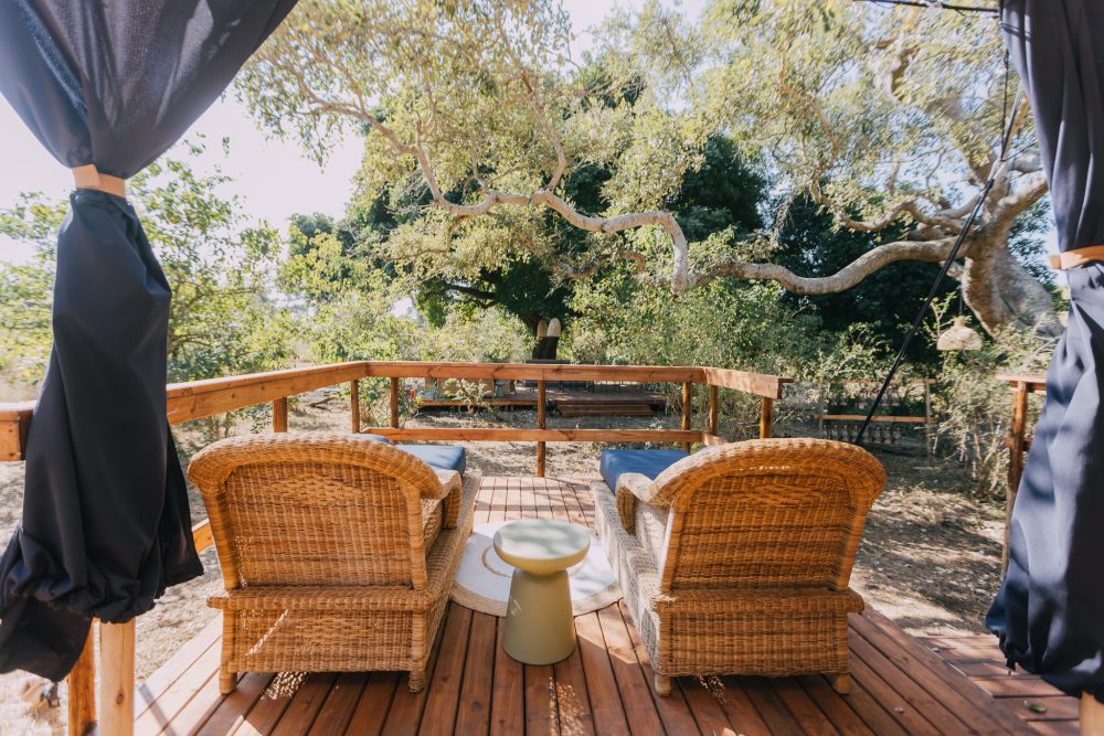 Kruger Untamed: Satara Plains Camp – Kruger National Park – SANParks