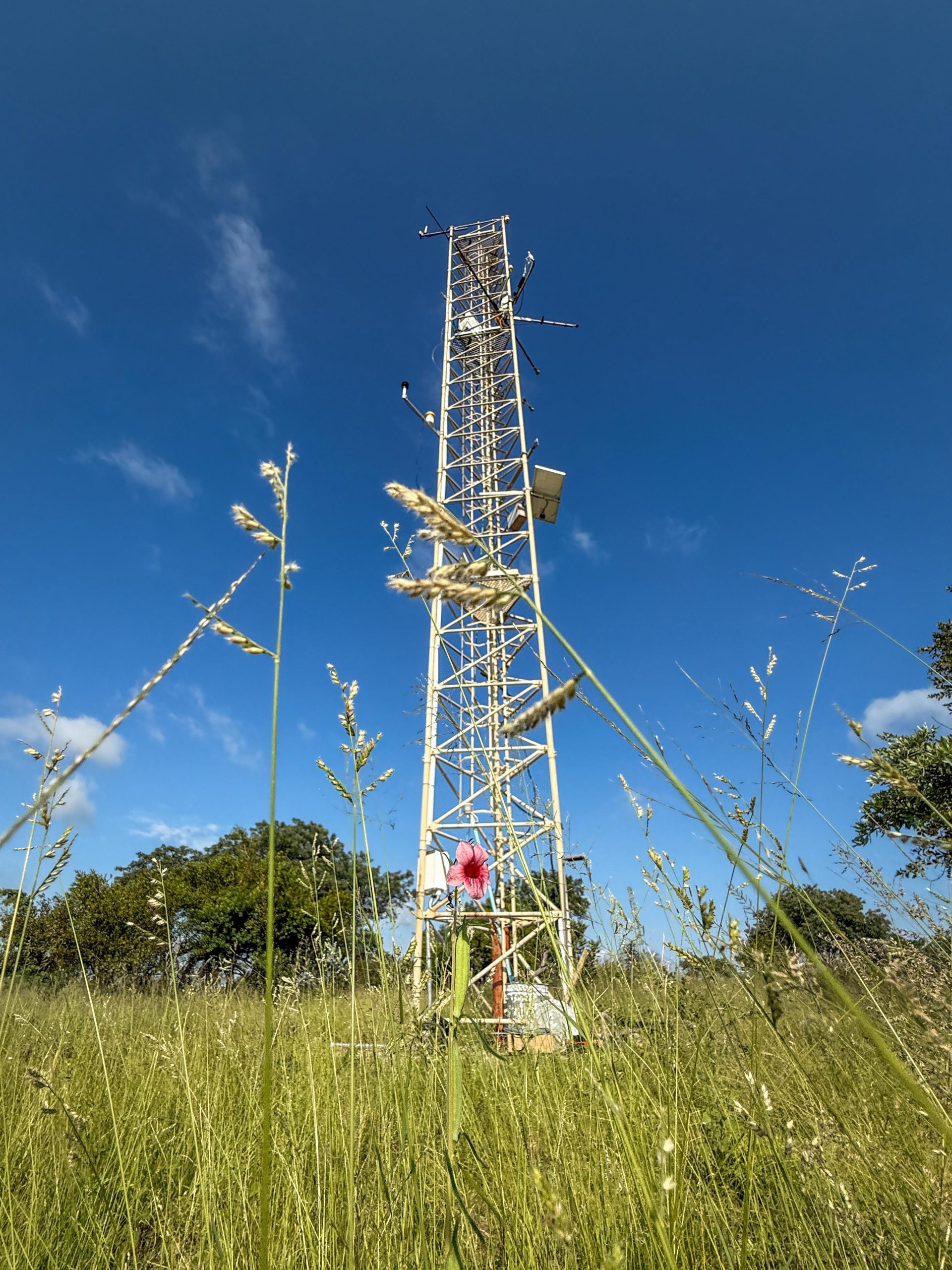 South Africa’s oldest Flux Tower turns 25! – Our Stories – Scientific ...