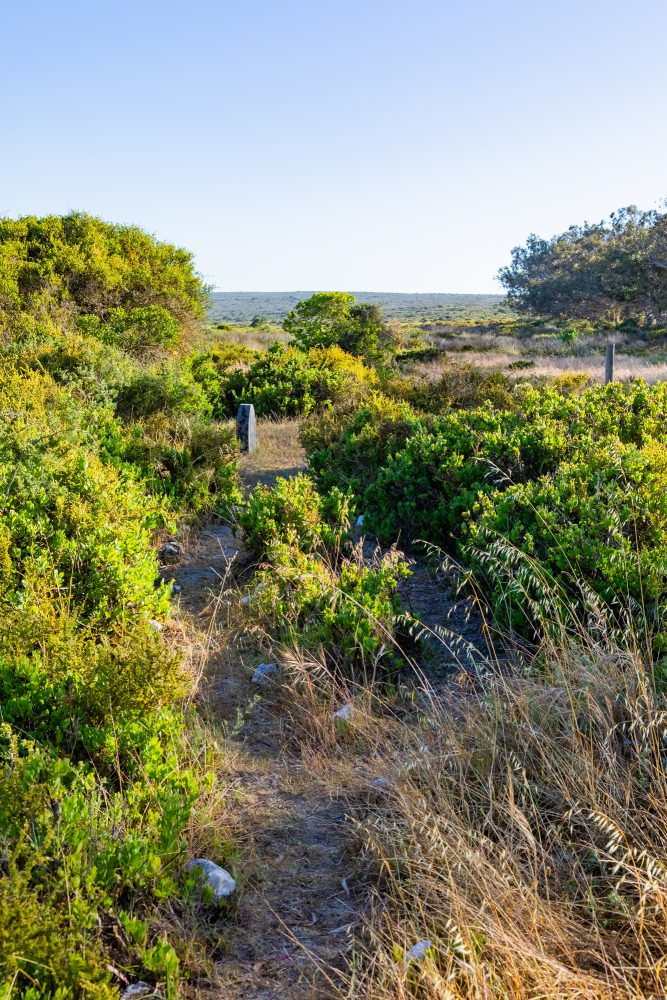 VOC Beacon – West Coast National Park – SANParks